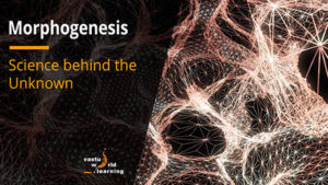 Morphogenesis - VastuWorld Learning Centre